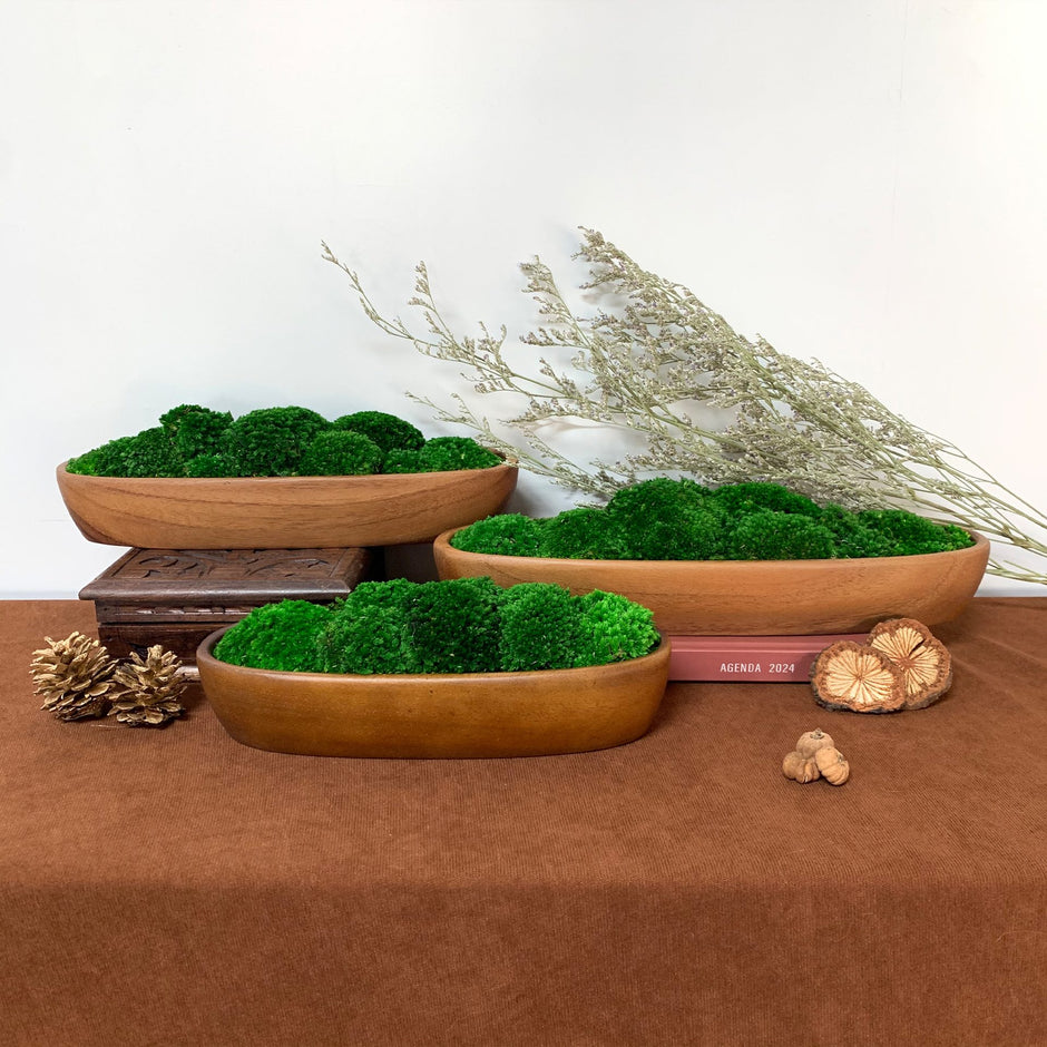 Complete Guide to Styling Preserved Moss Bowls | Interior Design Tips