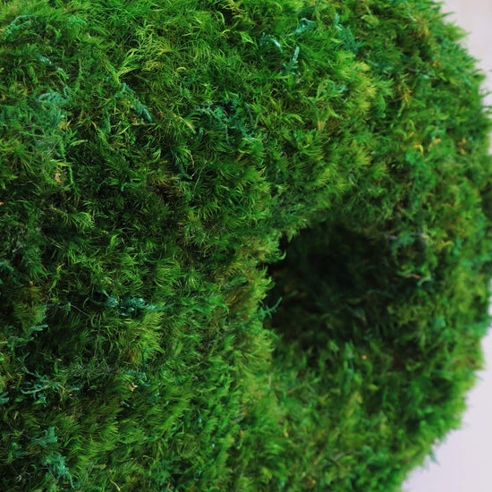 Guardian Cube Sculptural Moss Tabletop - Moss Decor | Wildleaf