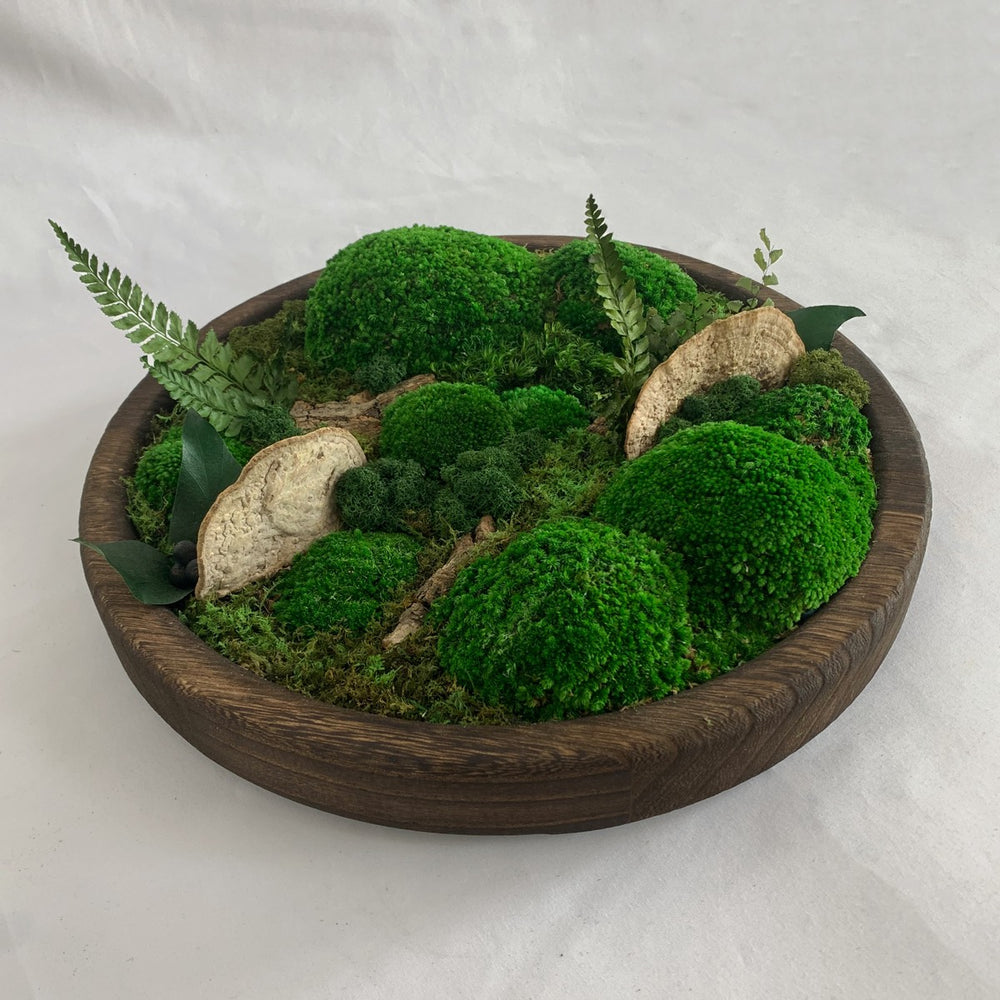 Round Wooden Moss Bowl with Plants - Moss Centerpiece | Wildleaf