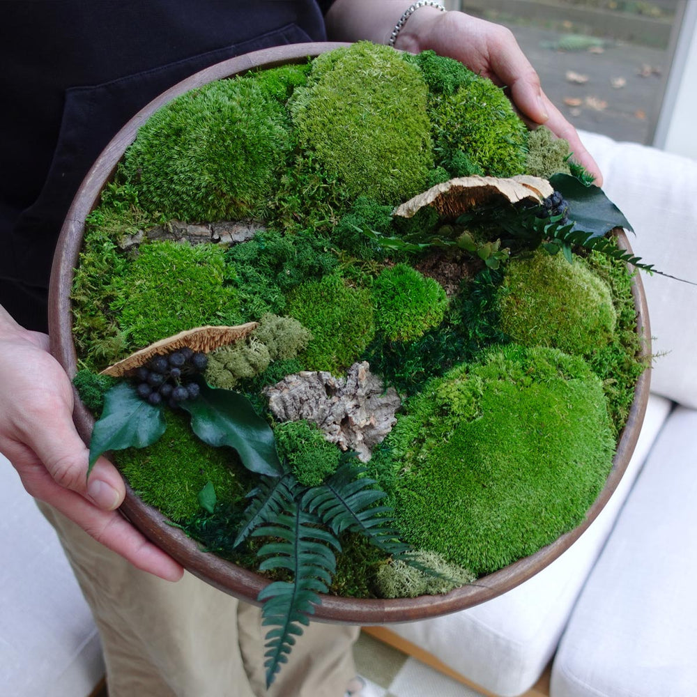 Round Wooden Moss Bowl with Plants - Moss Centerpiece | Wildleaf