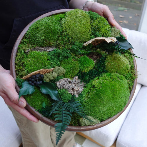 Round Wooden Moss Bowl with Plants - Moss Centerpiece | Wildleaf